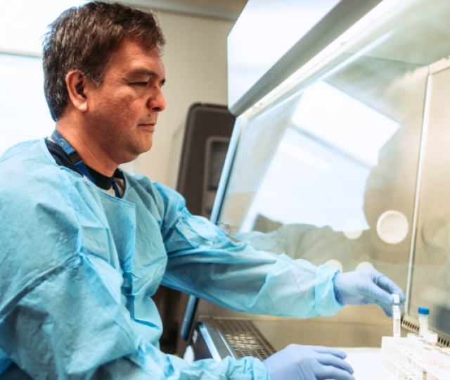 Microbiology | Laboratory Services Guide | IH